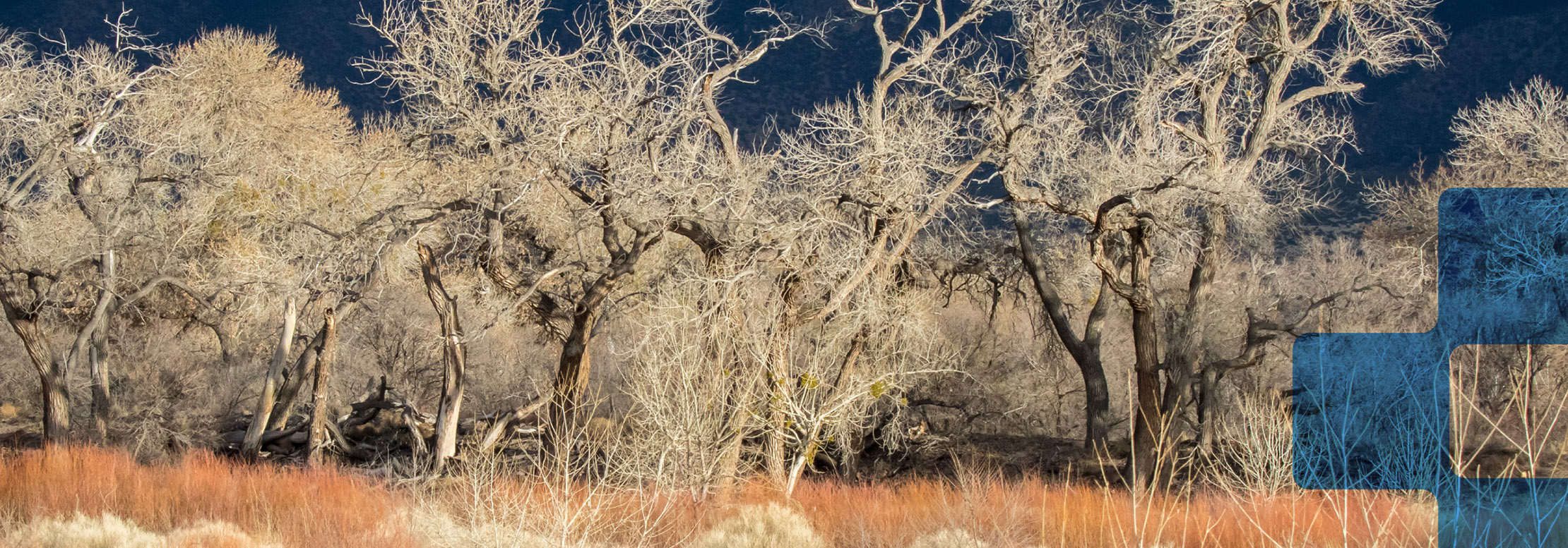 Valencia County Resources | Share New Mexico