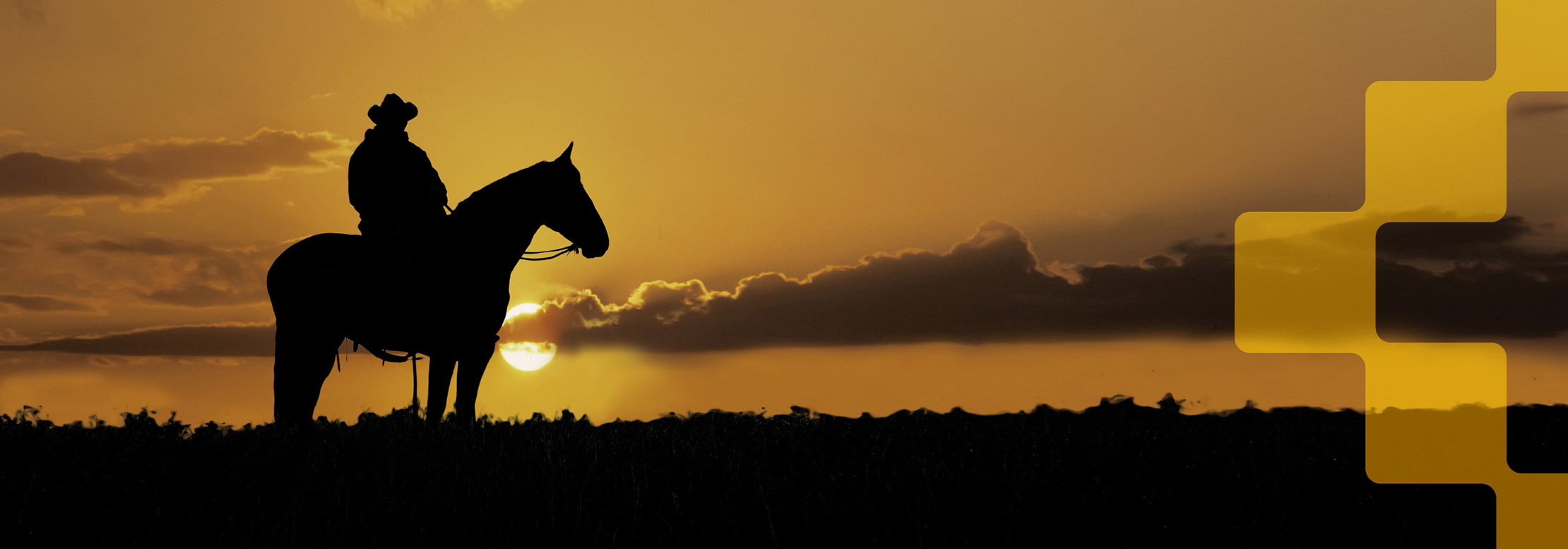 De Baca County Resources | Share New Mexico